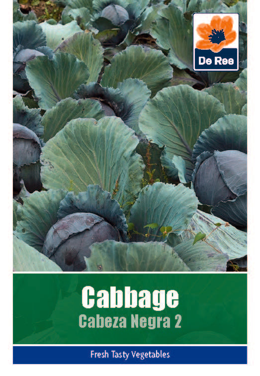De Ree - Seeds - Vegetables - Green Leafy Vegetables (Buy 5 Packs of S